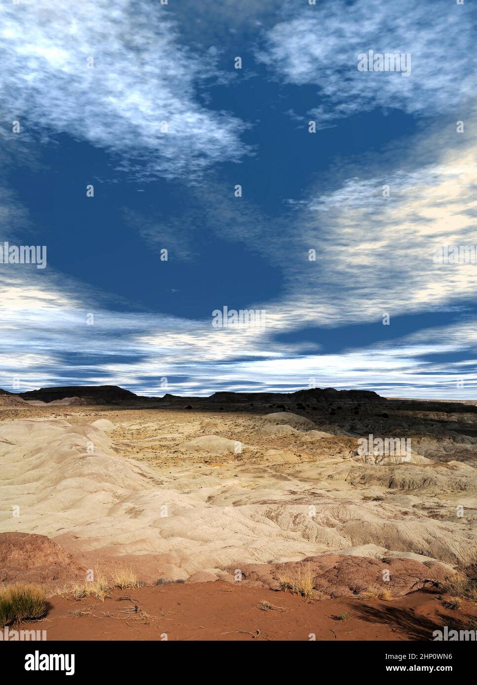 Scenic landscape of the ancient petrified forest in Arizona Stock Photo ...