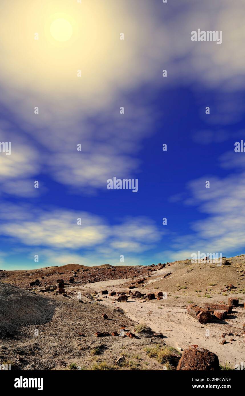 Scenic landscape of the ancient petrified forest in Arizona Stock Photo ...
