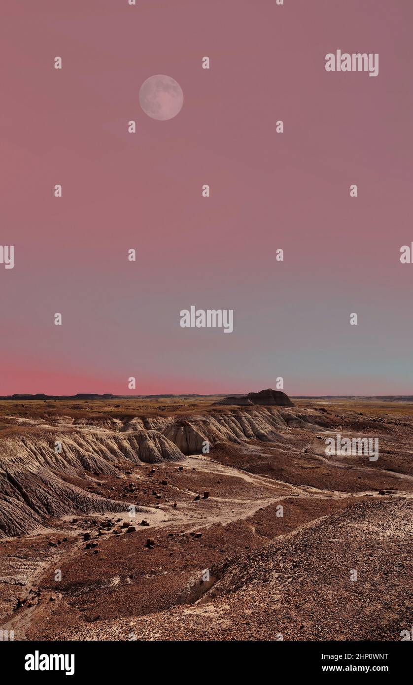 Moon rise above the ancient petrified forest in Arizona Stock Photo - Alamy