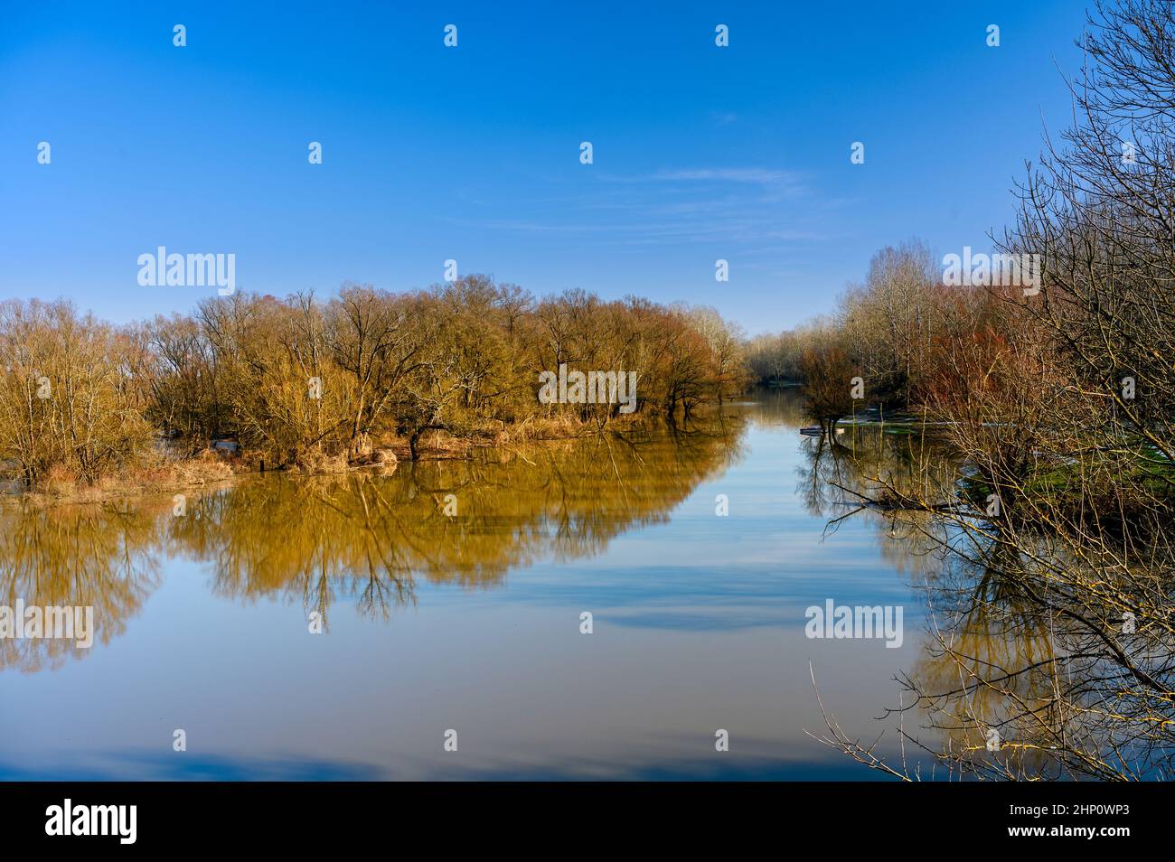A calm dark river with trees on the bank Stock Photo - Alamy