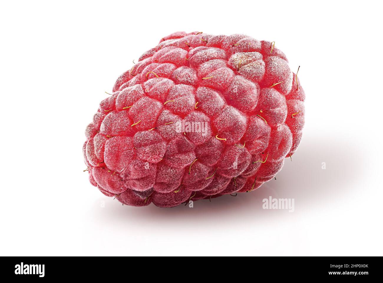 Single raspberry berry rotated isolated on white background Stock Photo ...