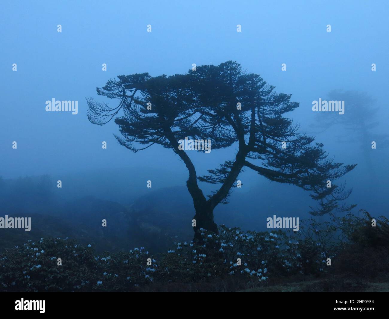 Misty outlines hi-res stock photography and images - Alamy