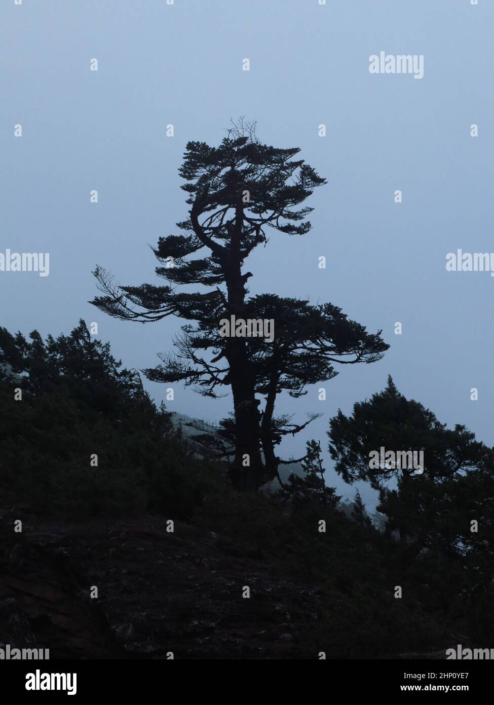 Misty outlines hi-res stock photography and images - Alamy