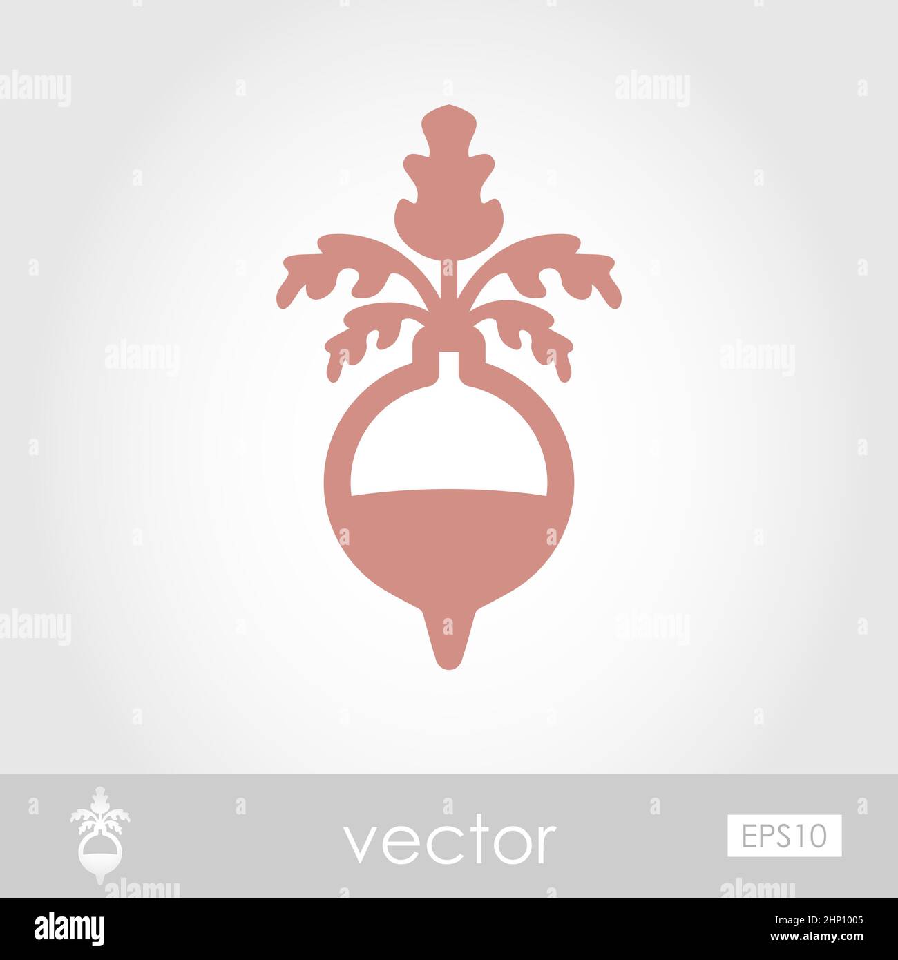 Rutabaga or Swede outline icon. Vegetable root vector illustration ...