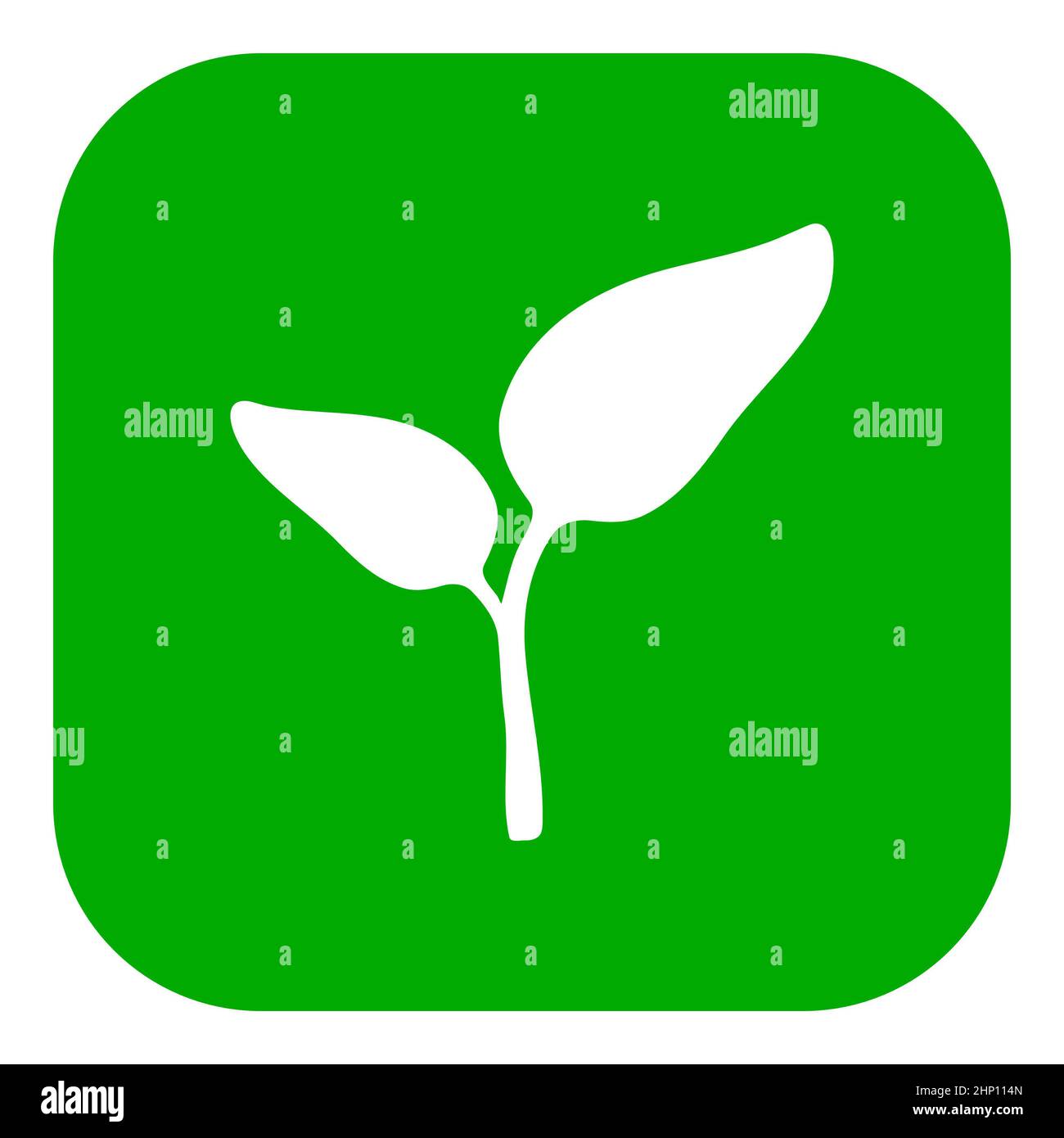 Plant and app icon Stock Photo - Alamy