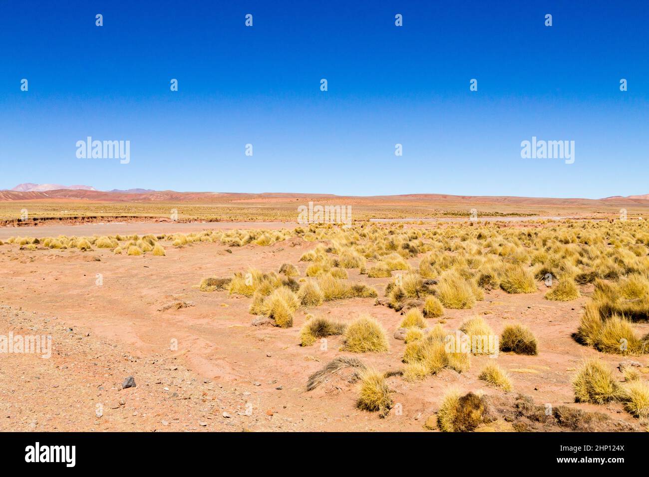 Bolivian mountains landscape,Bolivia.Andean plateau view Stock Photo ...