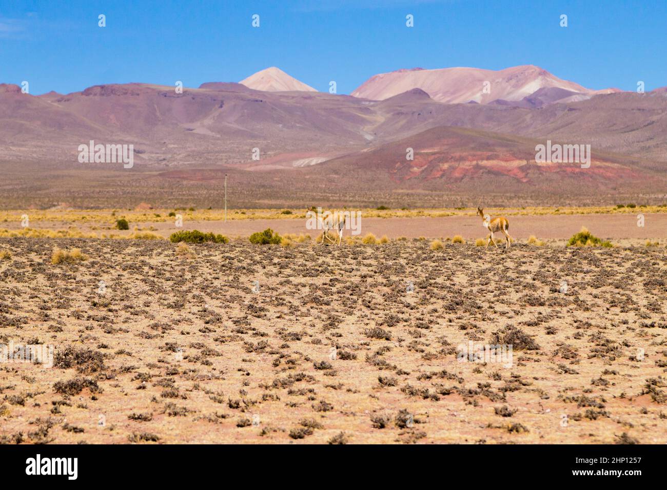 Bolivian mountains landscape,Bolivia.Andean plateau view Stock Photo ...
