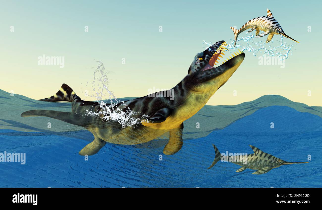 Ichthyosaur eurhinosaurus longirostris hi-res stock photography and ...