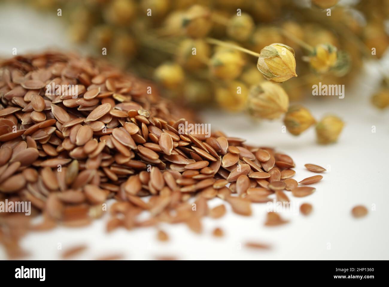 Pile of flax seeds and bunch of flax plants with blooms Stock Photo - Alamy