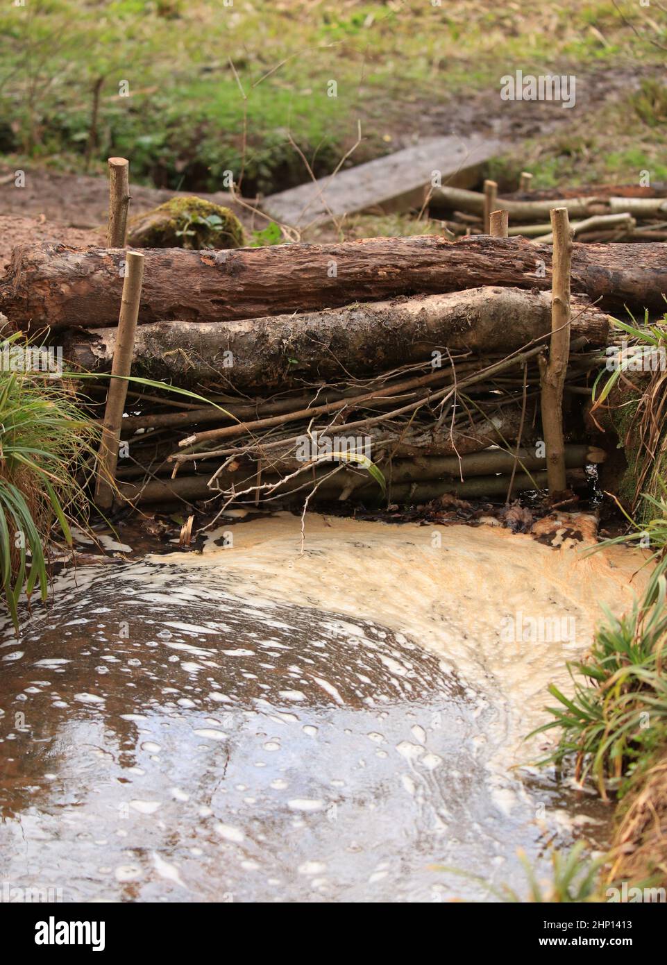 Leaky dam natural flood management Stock Photo - Alamy