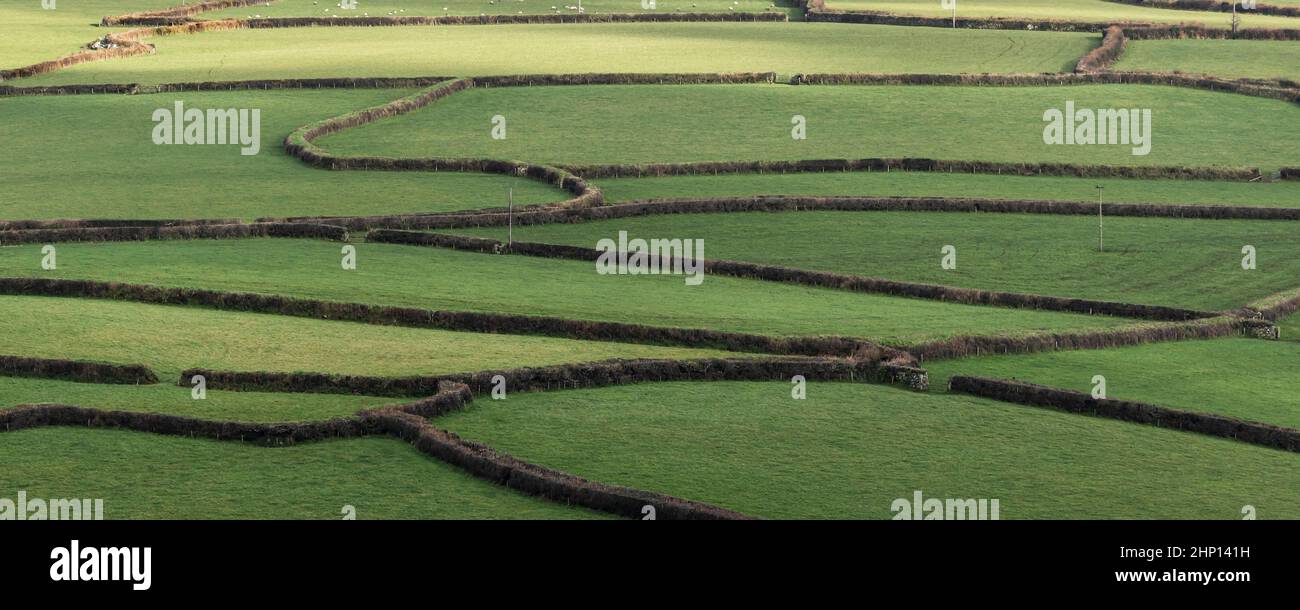 A panoramic image of traditional Cornish hedges on farmland on Bodmin ...