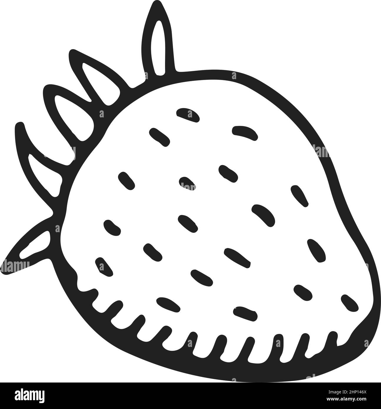 Hand drawn strawberry in Black and White Stock Photos & Images - Alamy
