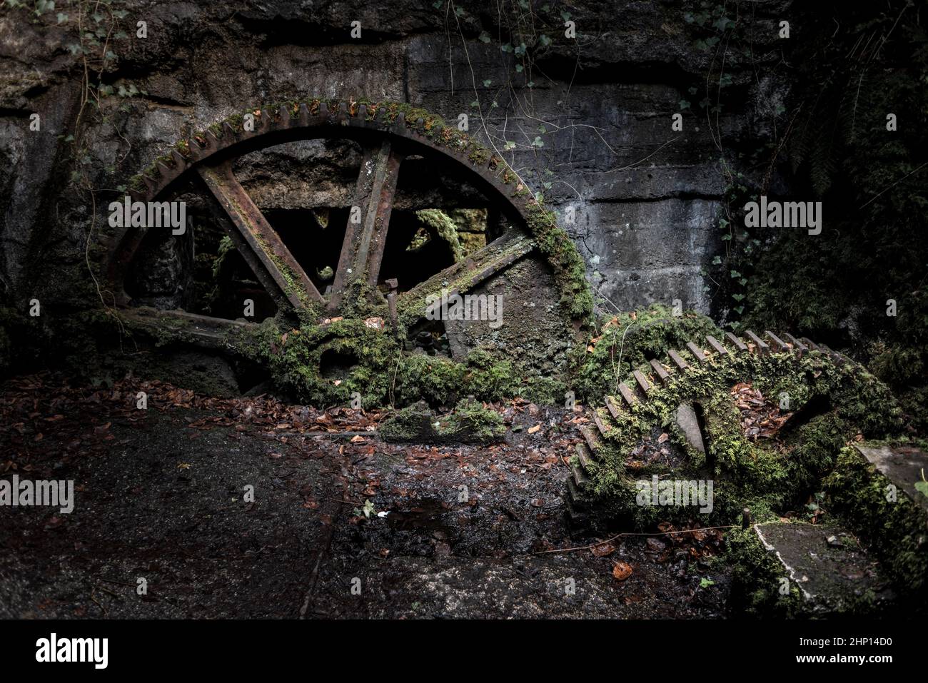 A closeup view of large rusty cog wheels inside the historic remains of ...