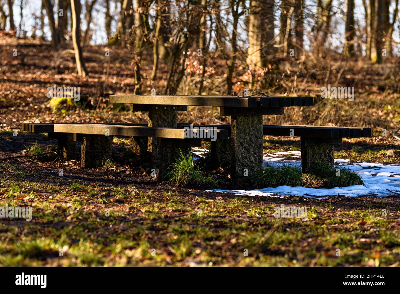 Rest area with benches and table with snow residue in front of forest ...