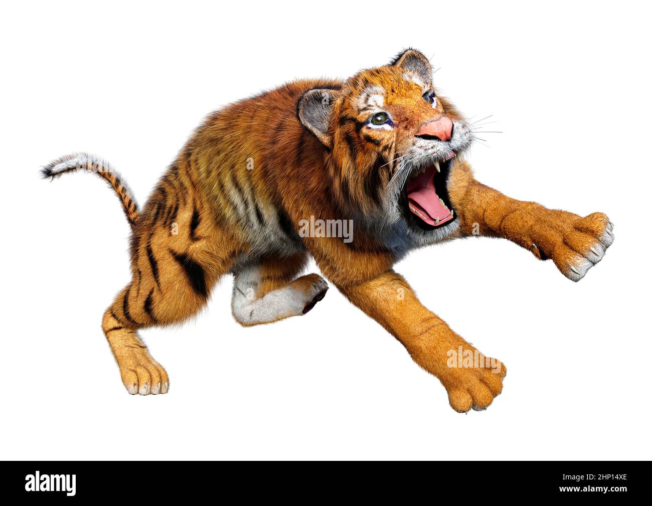3D rendering of a big cat tiger isolated on white background Stock ...
