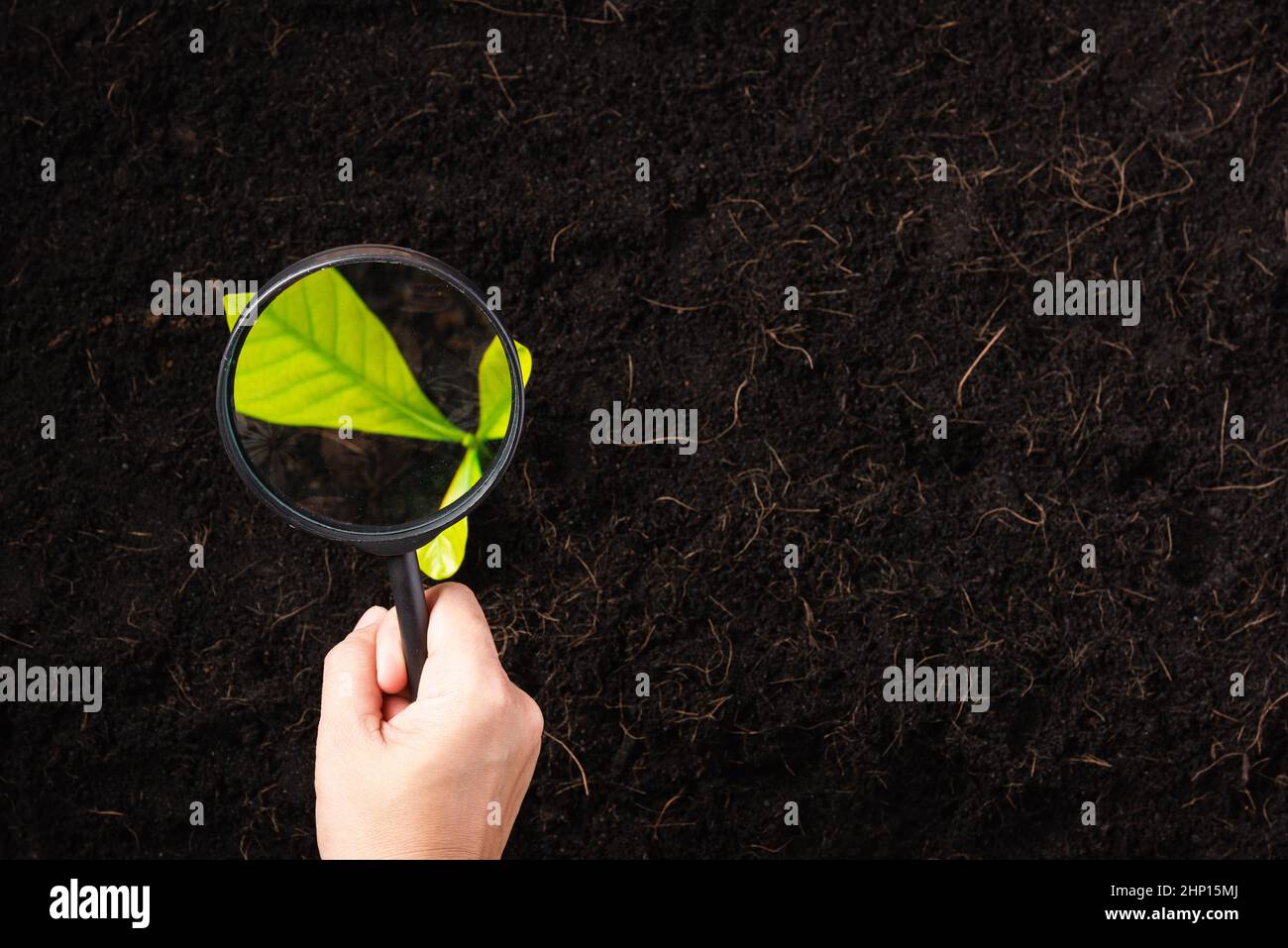 Hand of researcher woman holding a magnifying glass on black soil at ...
