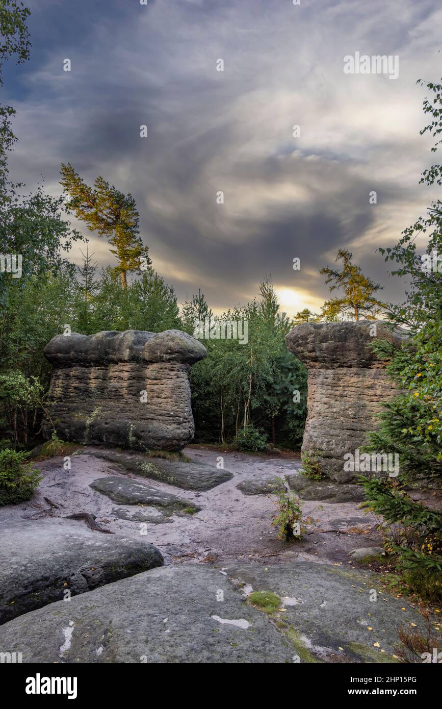 Stone mushrooms in a nature reserve Broumovske steny, eastern Bohemia ...