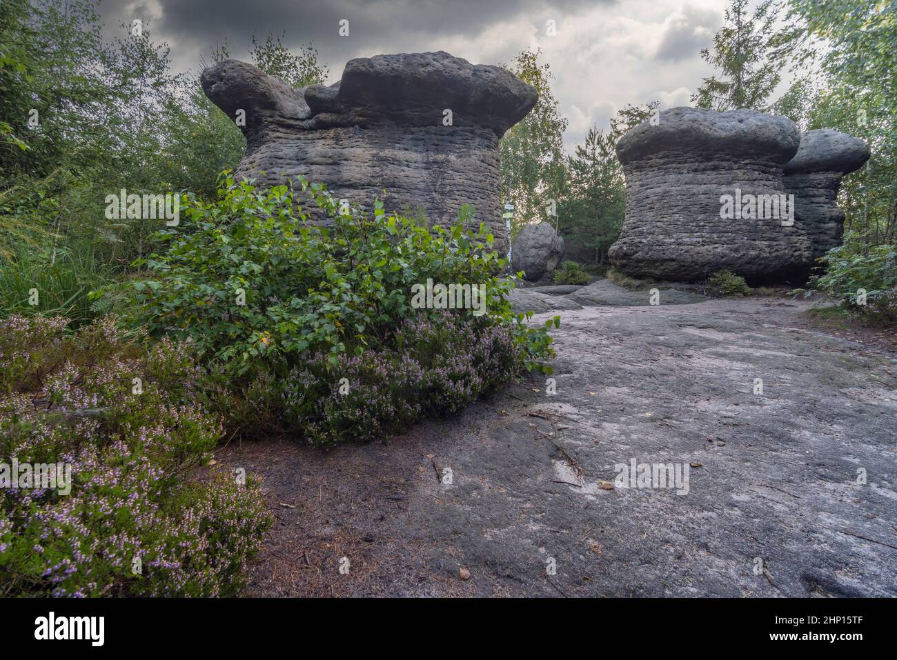 Stone mushrooms in a nature reserve Broumovske steny, eastern Bohemia ...