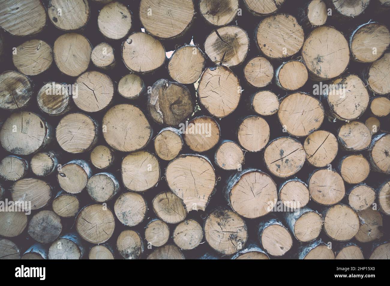 Stack of tree trunks. Texture background wallpaper Stock Photo - Alamy