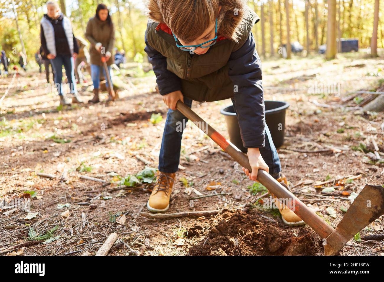 Child planting a tree in the forest during a reforestation for ...