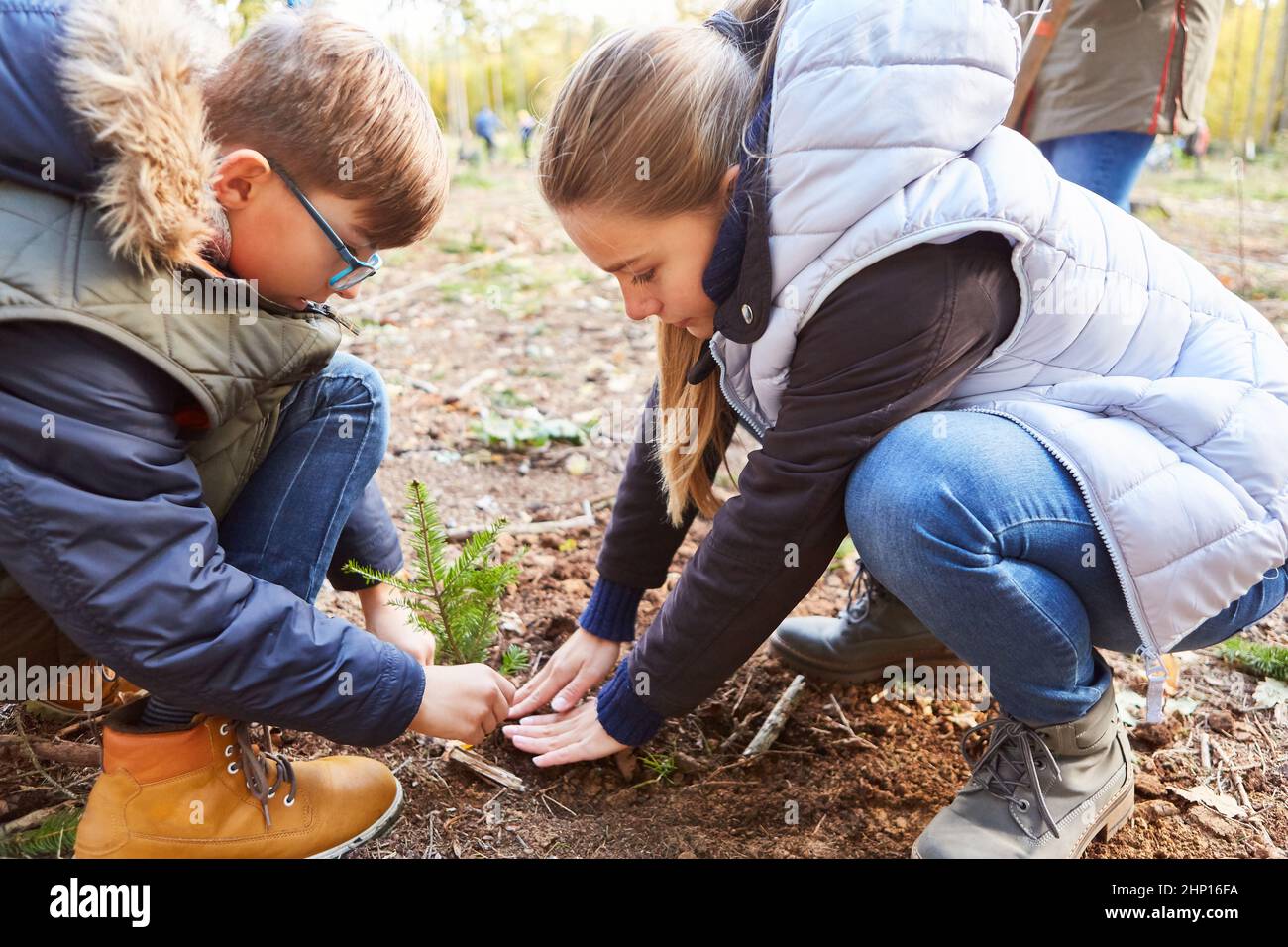 Two children planting trees in the forest for environmental protection ...