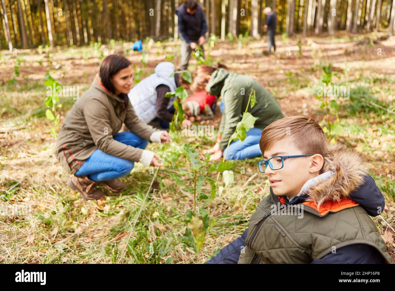 Child and conservation volunteers planting a tree in the forest Stock ...