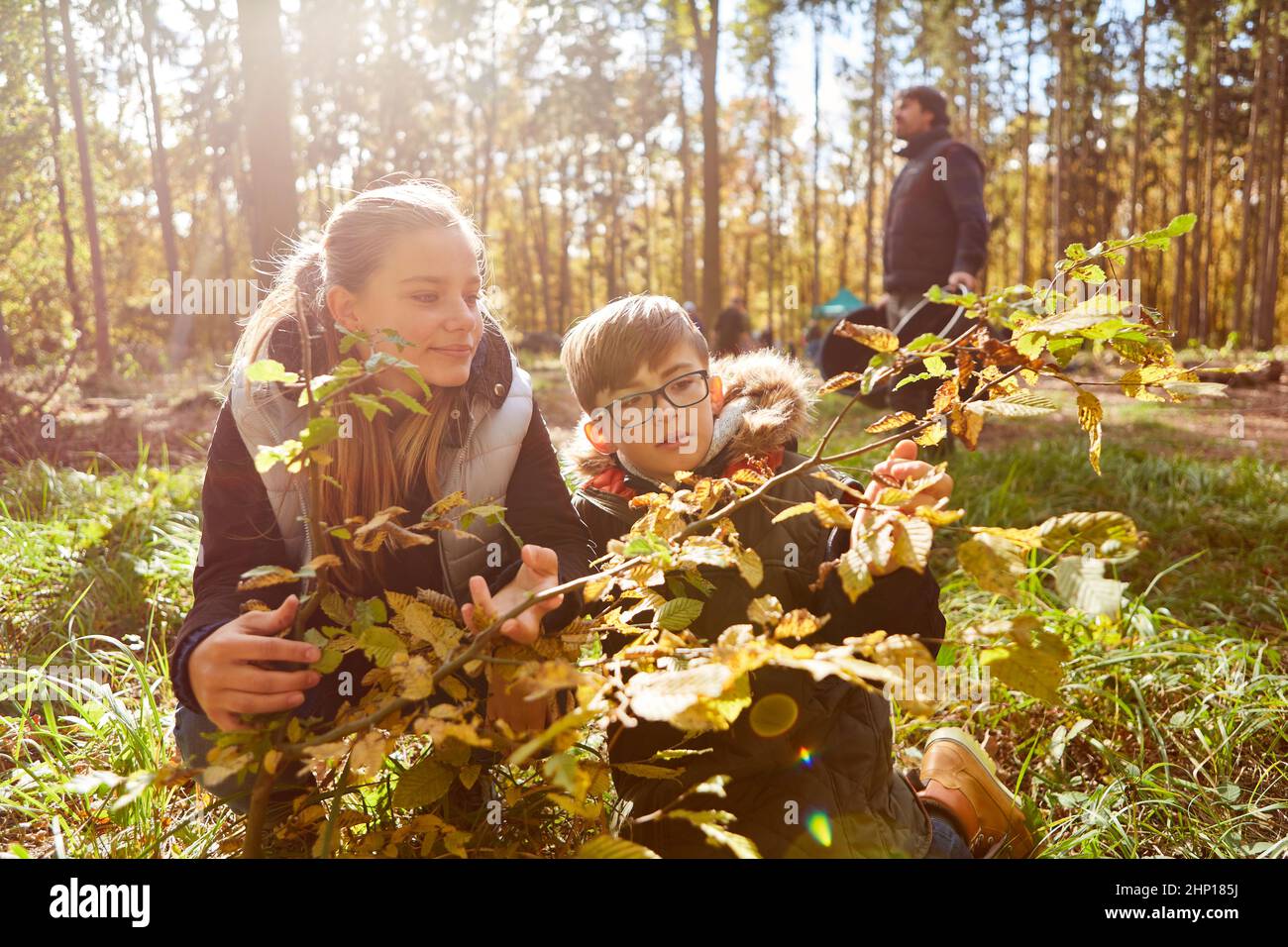 Two children in the forest identifying a tree as nature education ...