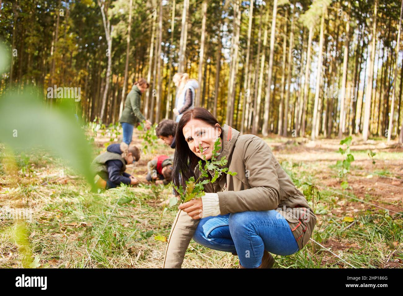 Woman with volunteers planting a tree in the forest for sustainable ...
