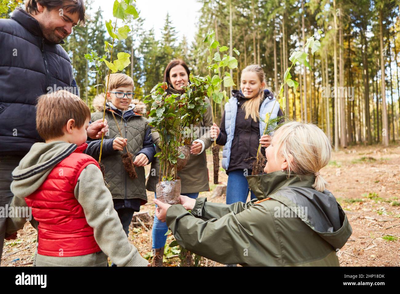 Family with children and forester selecting a tree for sustainable ...