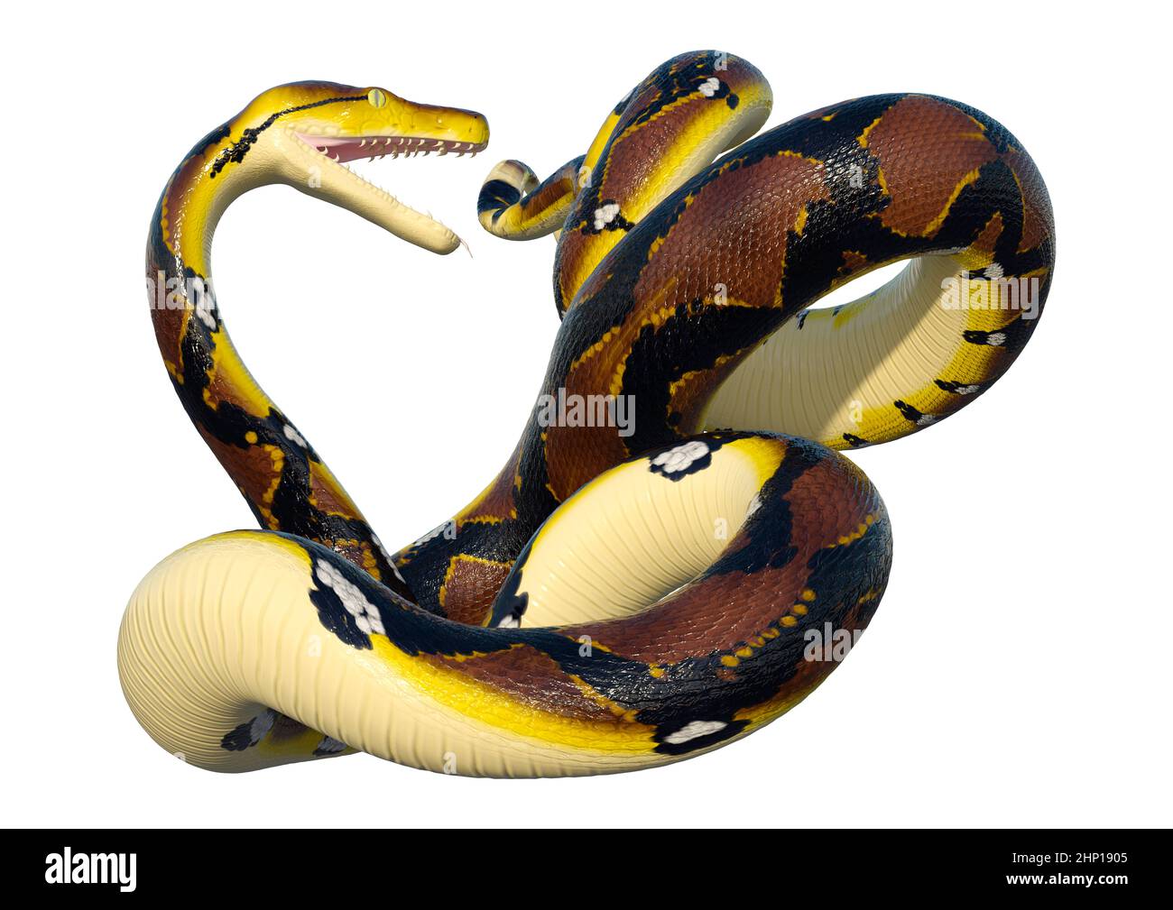 3D rendering of a Reticulated python or Python reticulatus, a species ...