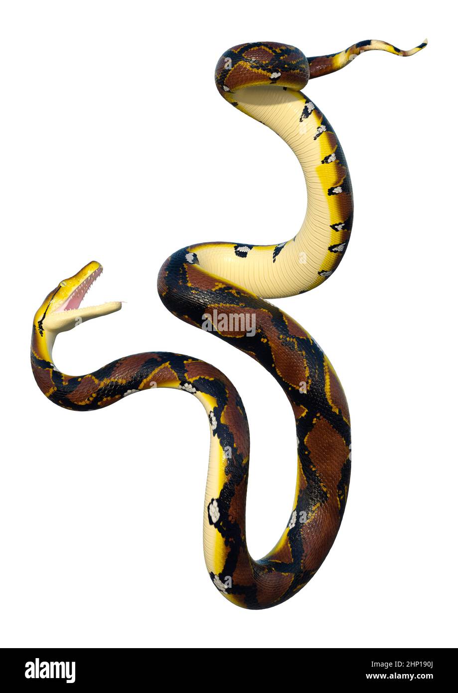 3D rendering of a Reticulated python or Python reticulatus, a species ...
