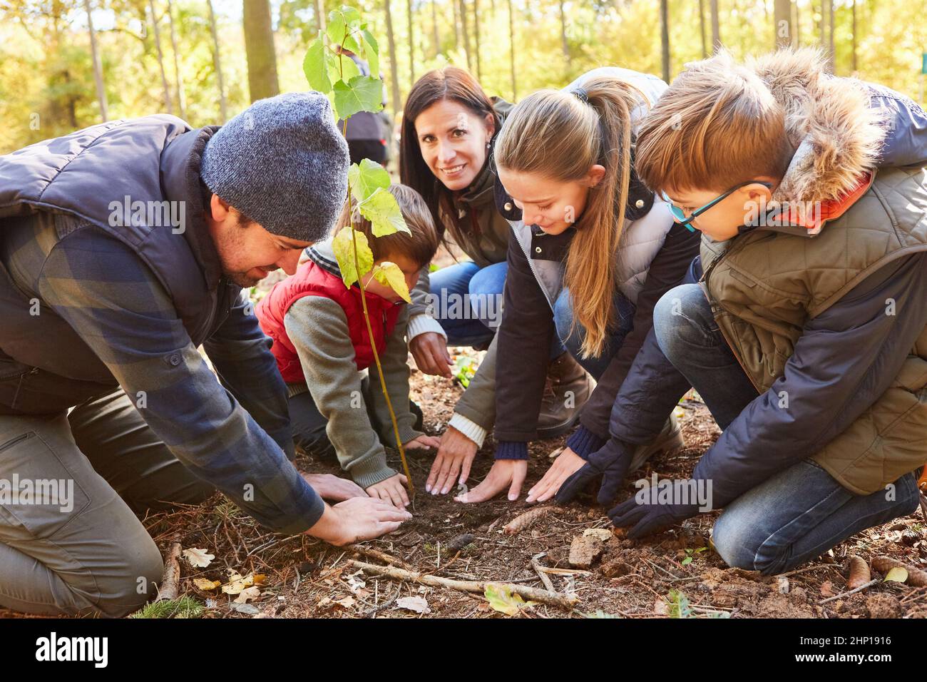 Forester and family with children planting trees together in the forest ...
