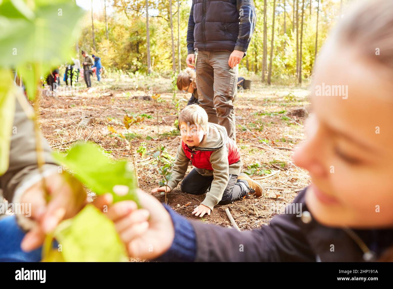 Children help in ecology and environmental protection project for ...