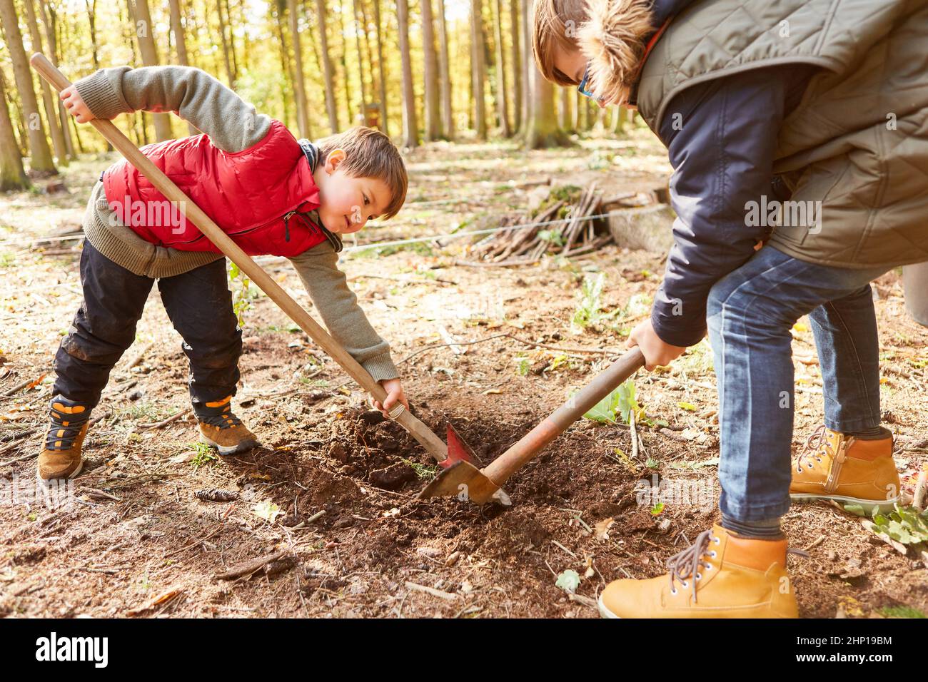 Two boys dig a hole in the forest for the reforestation campaign for ...