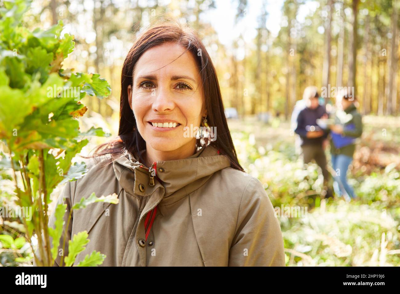 Woman as a volunteer planting a tree with a conifer for sustainable ...