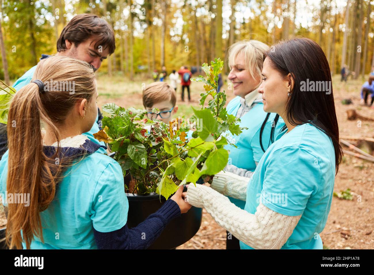 Family and children as volunteers in the forest in a reforestation ...