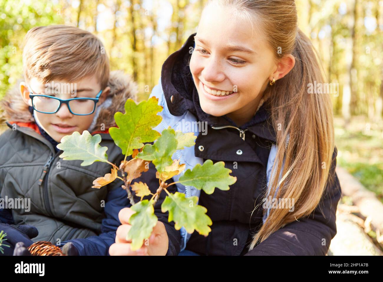 Two children in a school class with an oak leaf identifying a tree as a ...