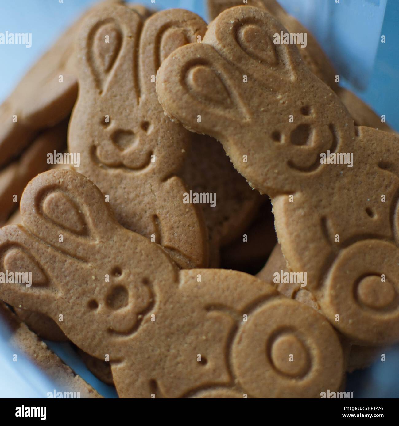 Delicious rabbit shaped cookies with ginger flavour. Easter bunny ...