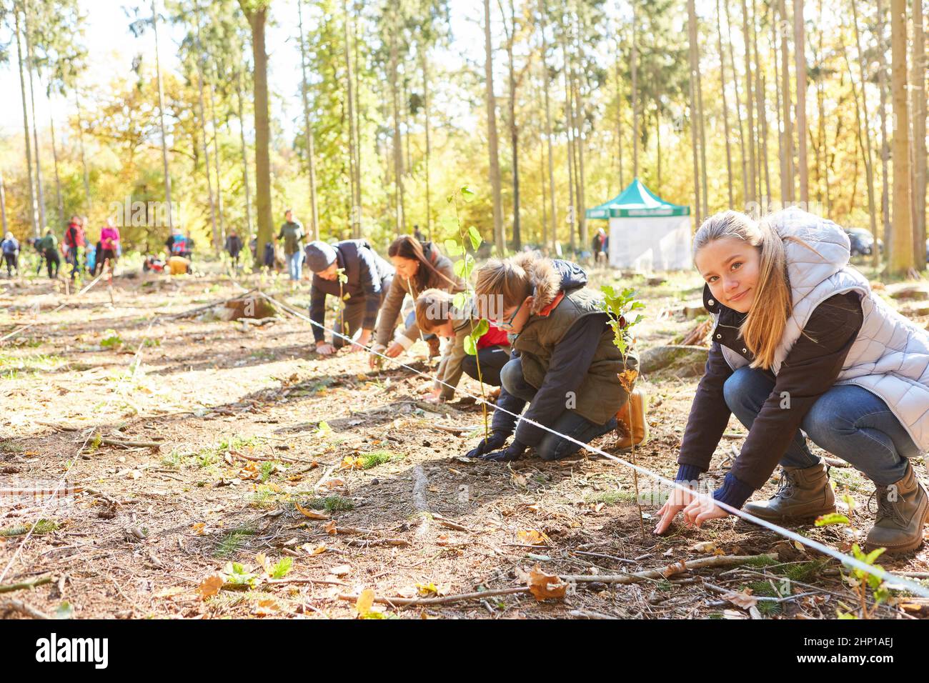 Group of children planting trees in the forest as a voluntary climate ...