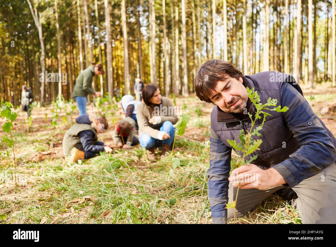 Foresters and tree planting volunteers together in the forest for ...