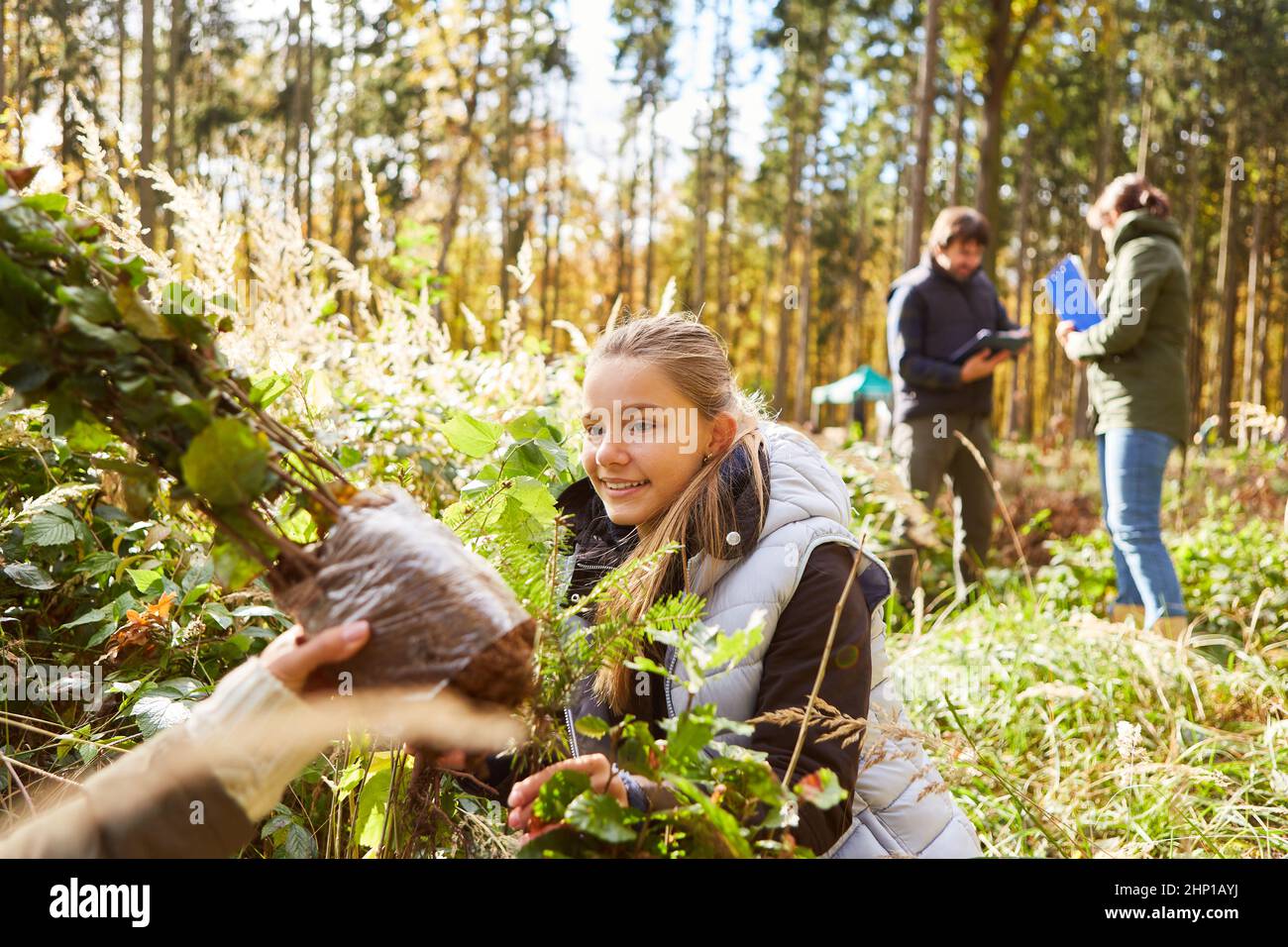 Child helps with a reforestation campaign in the forest for ...