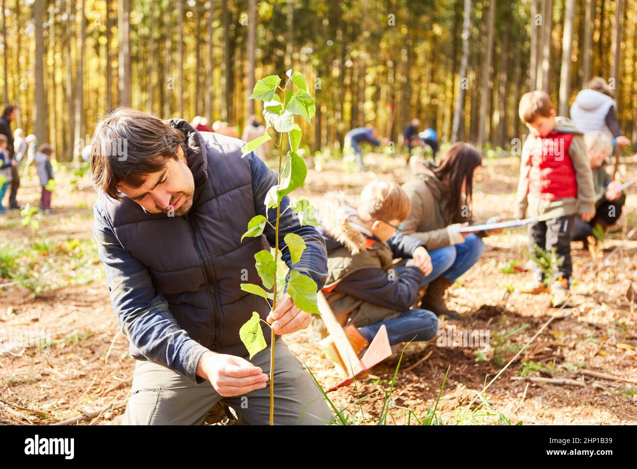 Foresters planting trees in an environmental protection campaign in the ...