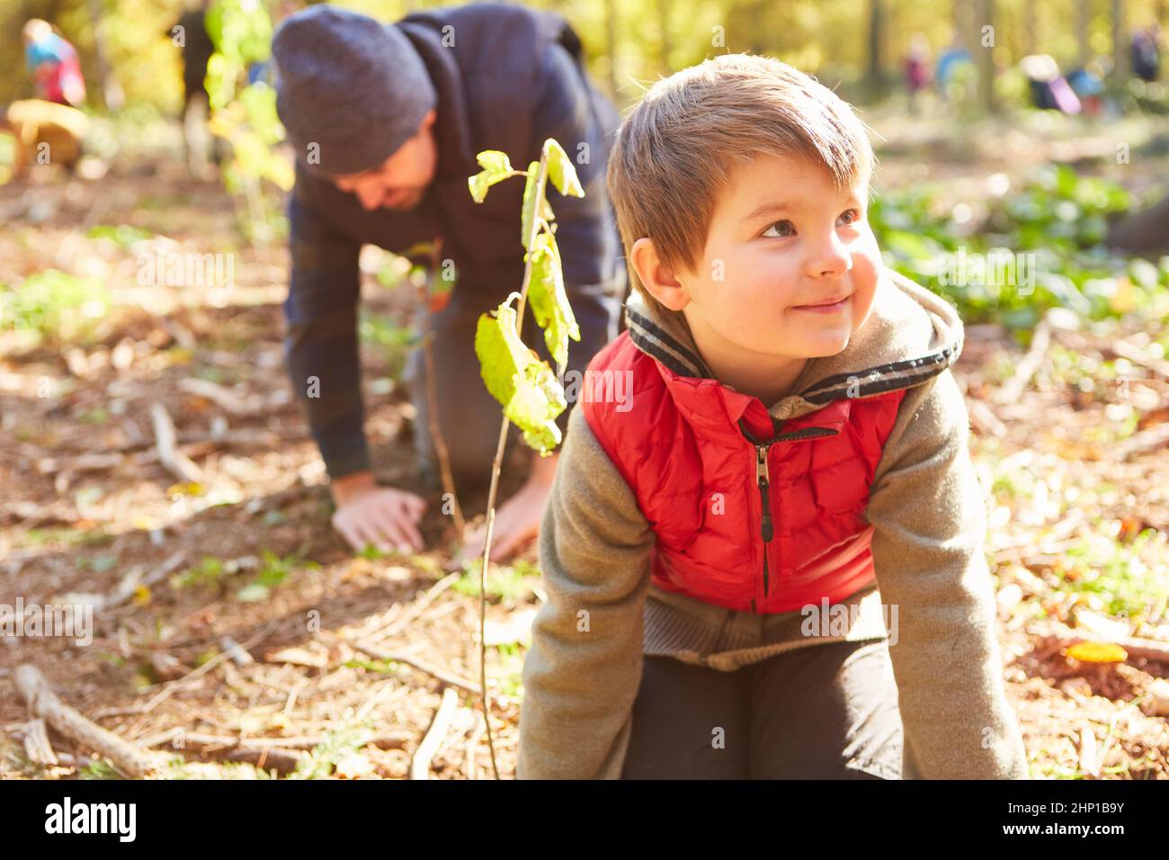 Boy planting a tree in the forest as a reforestation campaign for ...