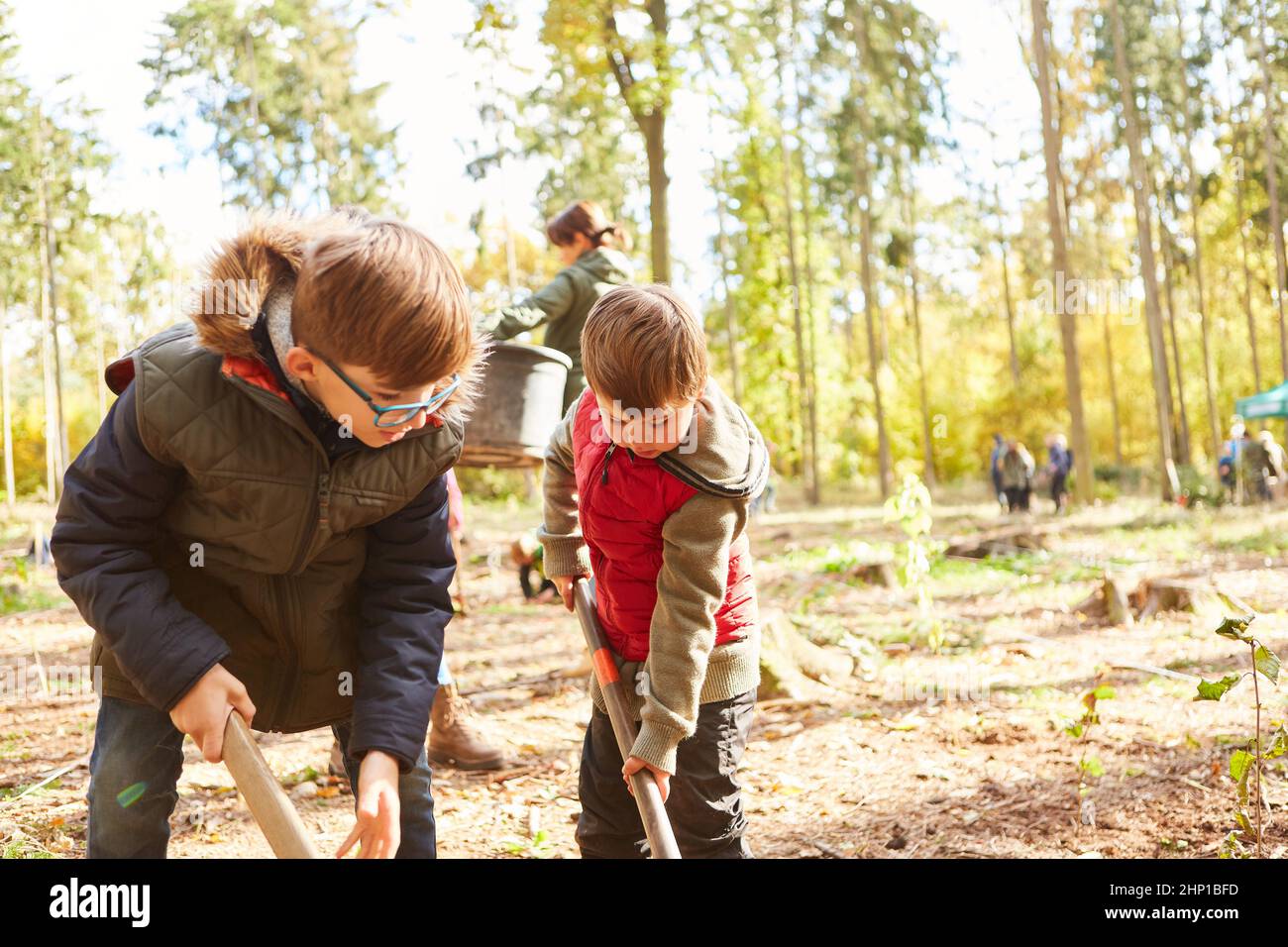 Two boys help with the reforestation campaign in the forest for ...