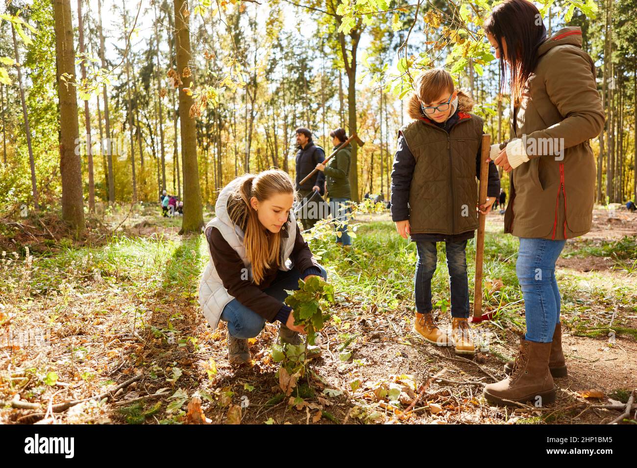 Children help mother plant trees in the forest for sustainable ...