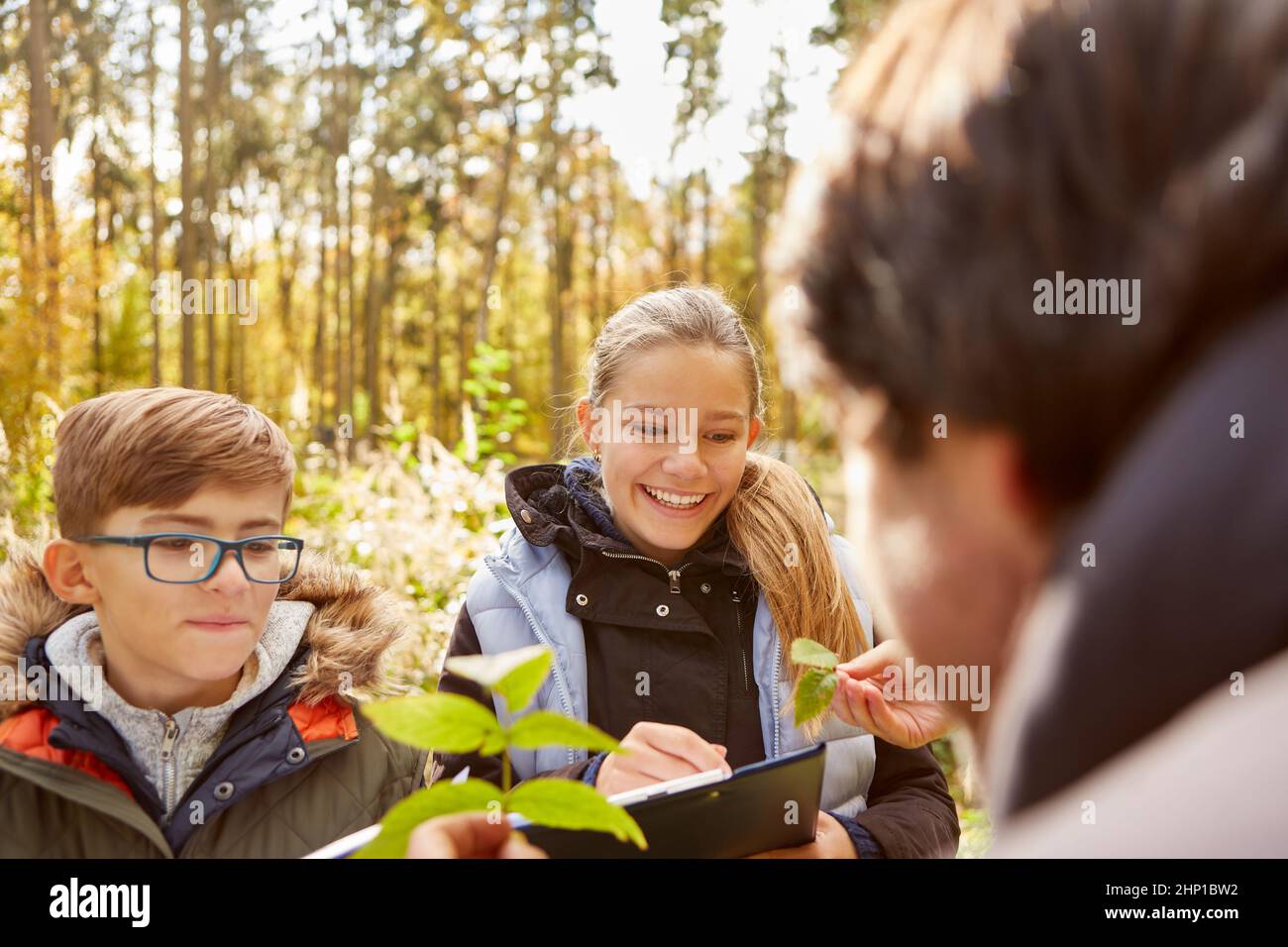 Children learn tree science from the forester and look at leaves on ...