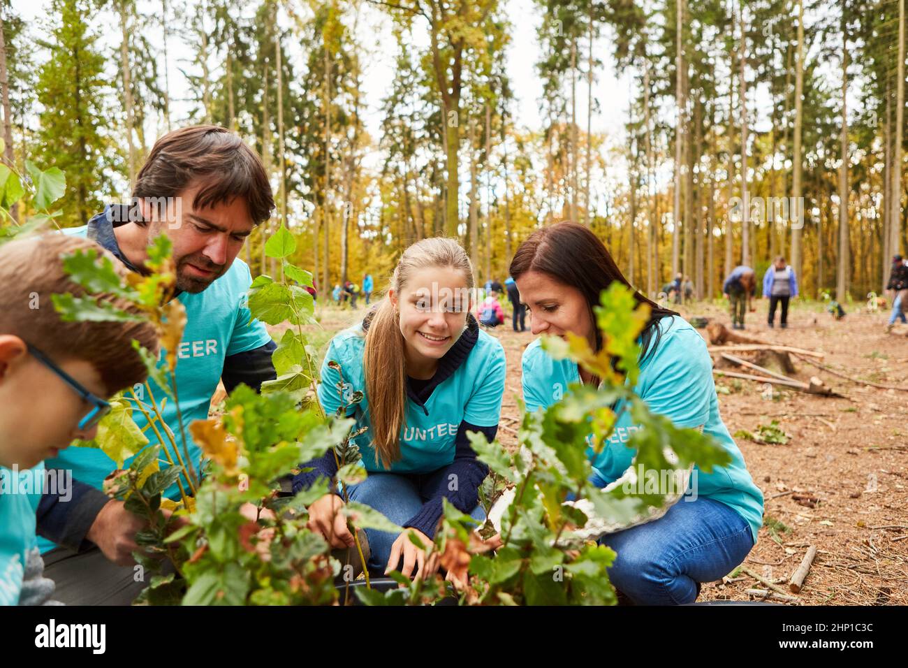 Family with tree seedlings for reforestation in the forest in a ...