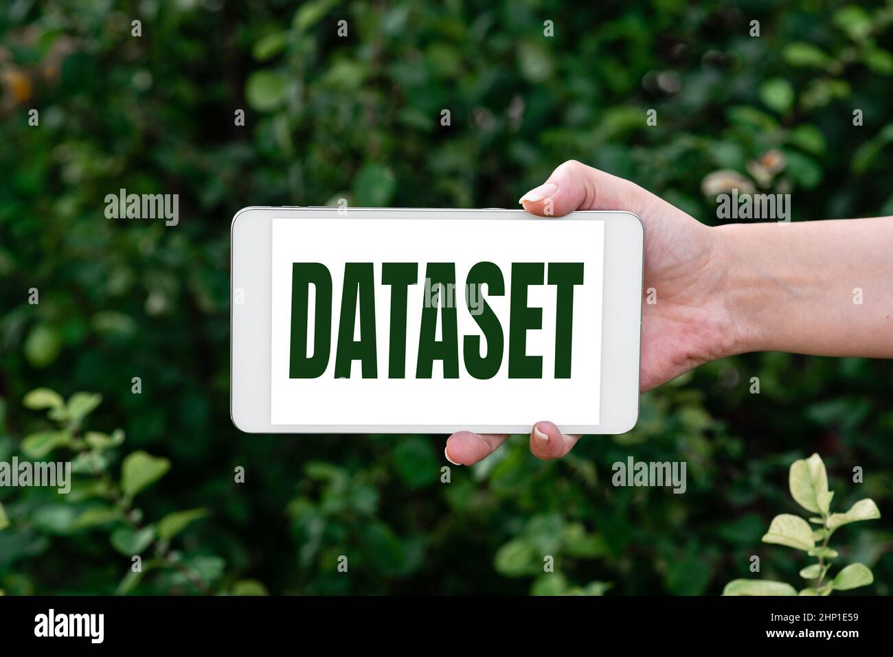 Conceptual caption Dataset, Word Written on collection of numbers or ...