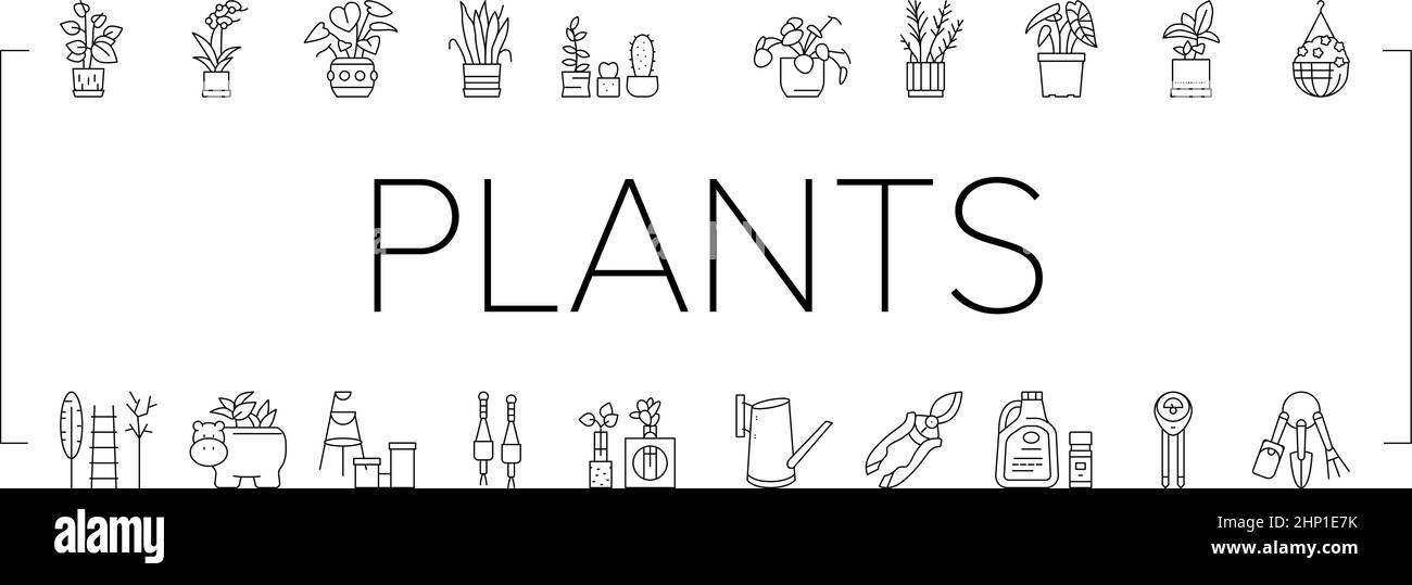Houseplant Store Sale Collection Icons Set Vector Stock Vector Image ...