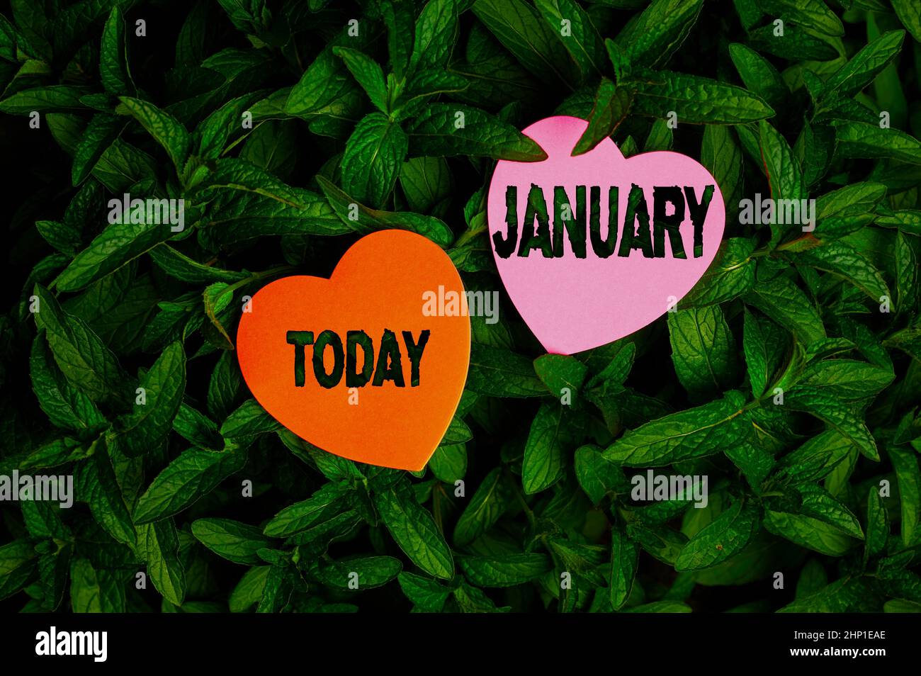 January word hi-res stock photography and images - Alamy